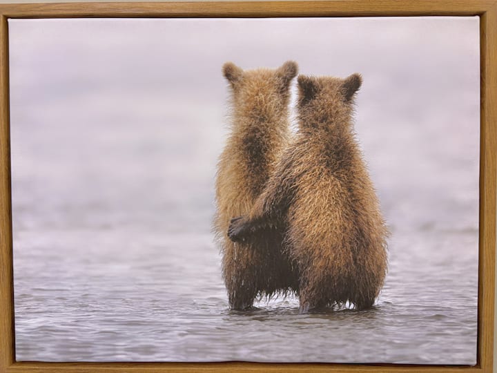 *Perfect Location* Cozy Canmore Studio - Canmore