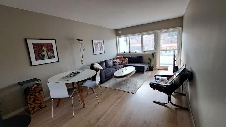 80 Kvm Leilighet Med 2 Soverom Nær Marka å Sentrum - Trondheim