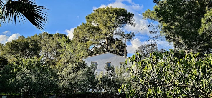 Bastidon  Indépendant - Pierrefeu-du-Var
