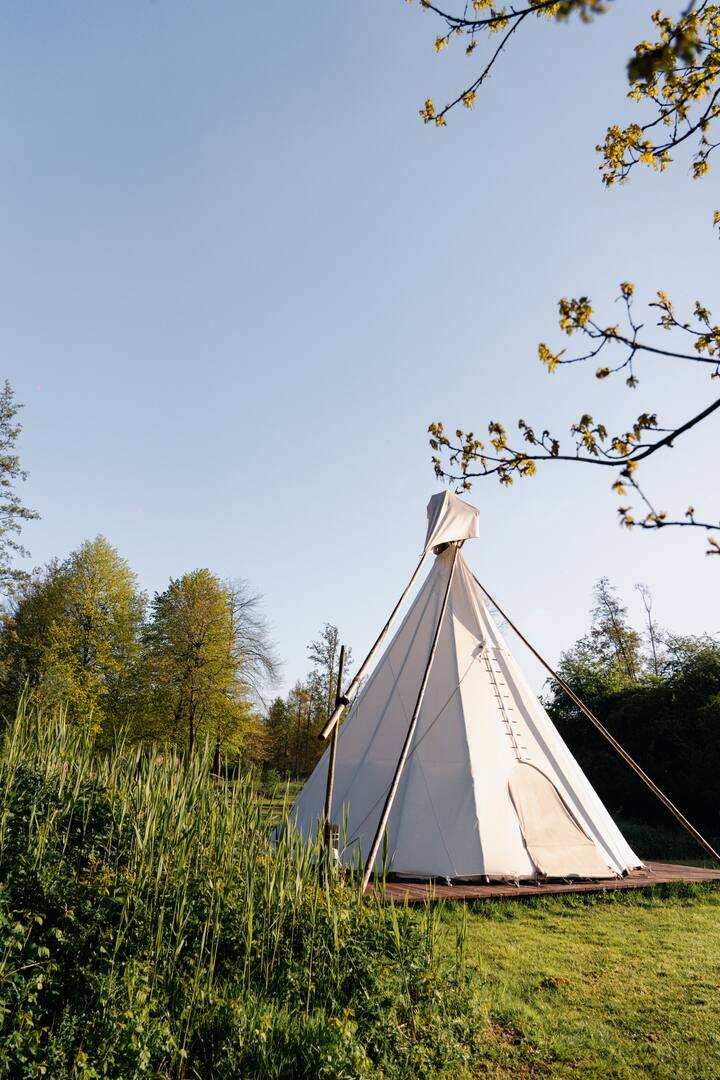 Super Tipi In De Flevowildernis - Zeewolde