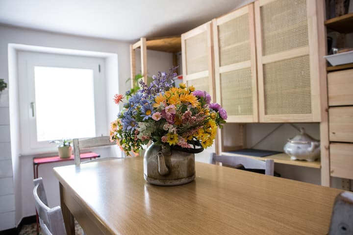 Casa Iris - Appartamento - Santo Stefano d'Aveto