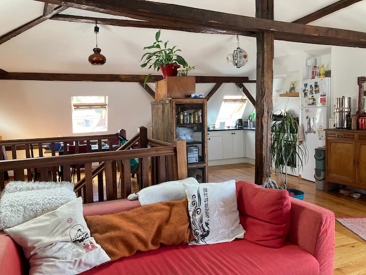 Chambre Privative - Salies-de-Béarn