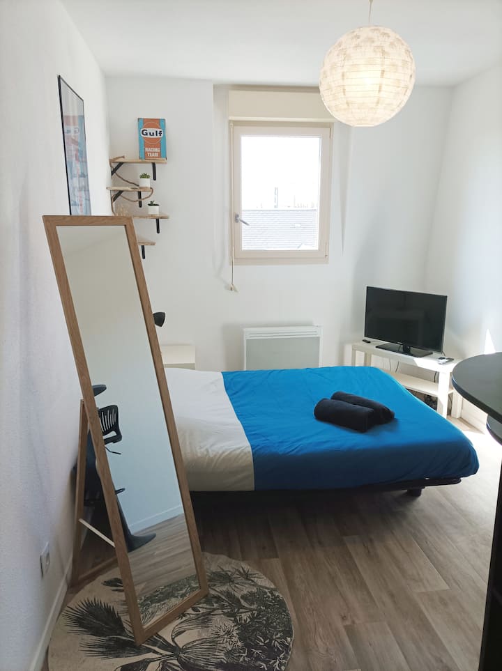 Agréable Studio/ Centre/proximité Tramway Et Gare - Le Mans