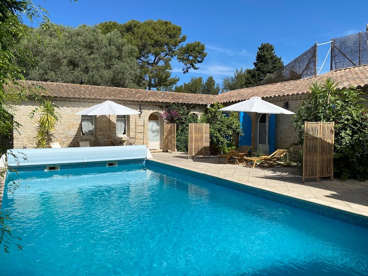 Un Oiseau Sur La Branche à 500 M De La Plage - Cassis