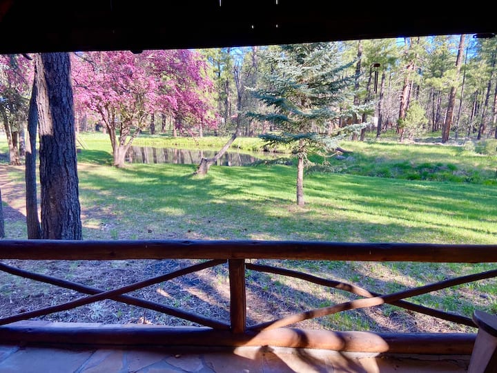 Little Cabin In The Big Woods - Pinetop-Lakeside, AZ