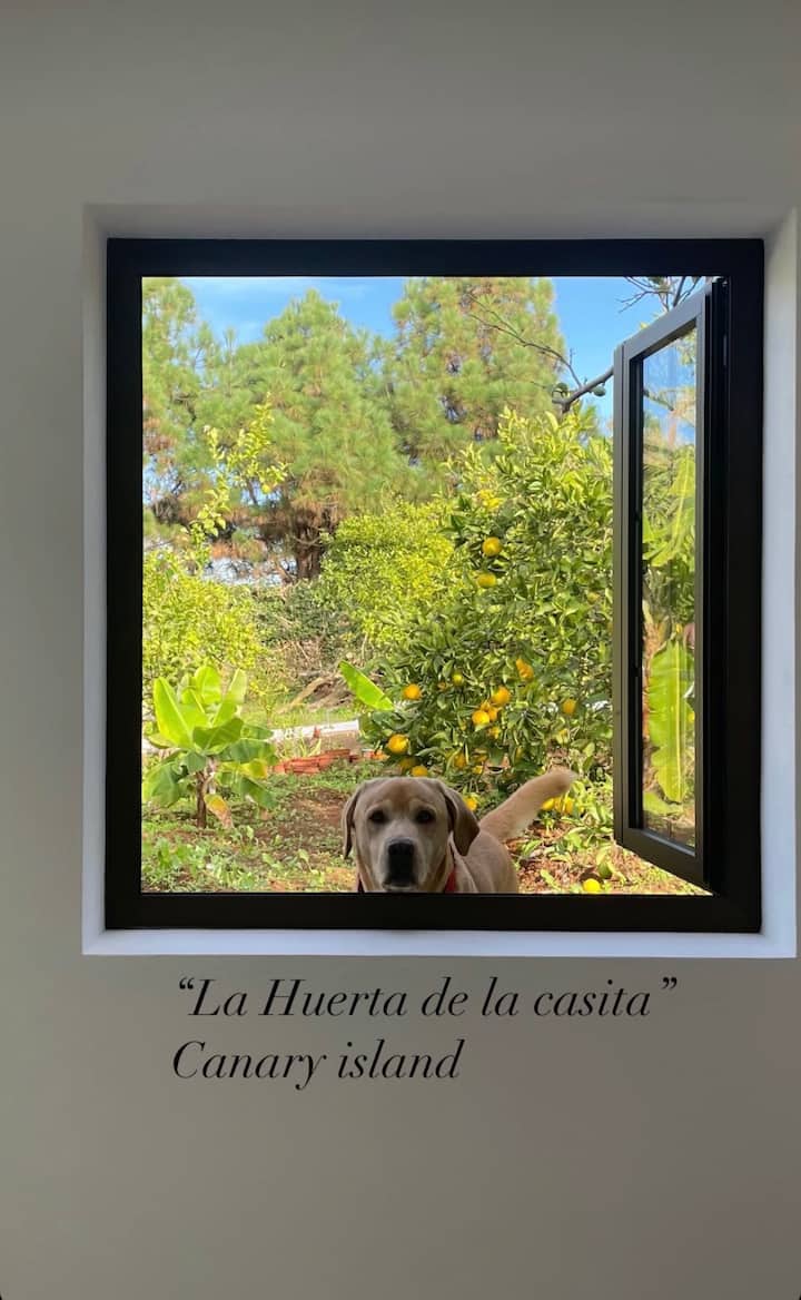 La Huerta De La Casita - Tenerife