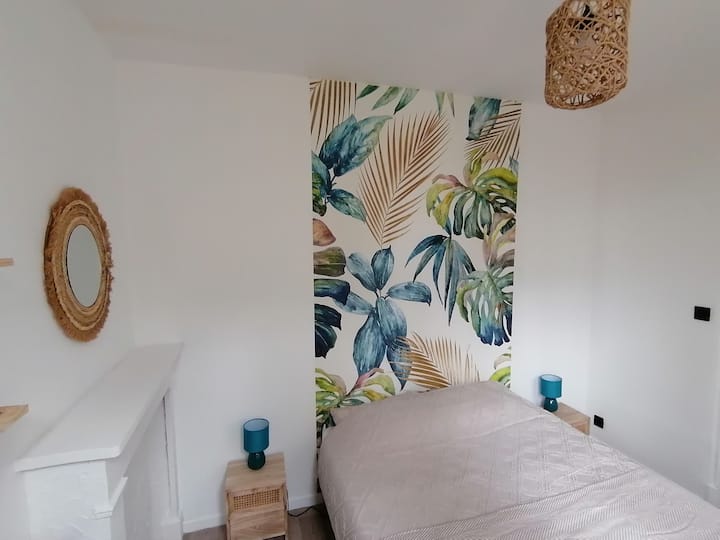 Appartement 50m² Centre-ville - Dunkerque