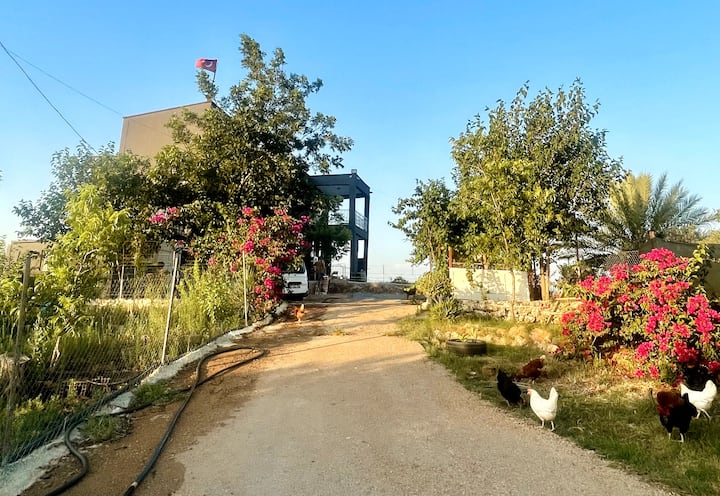 Serene Retreat Near The City - Aksu