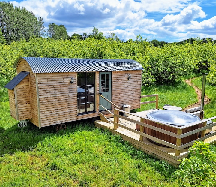 'Blossom' Shepherds Hut With Private Hot Tub - Budleigh Salterton