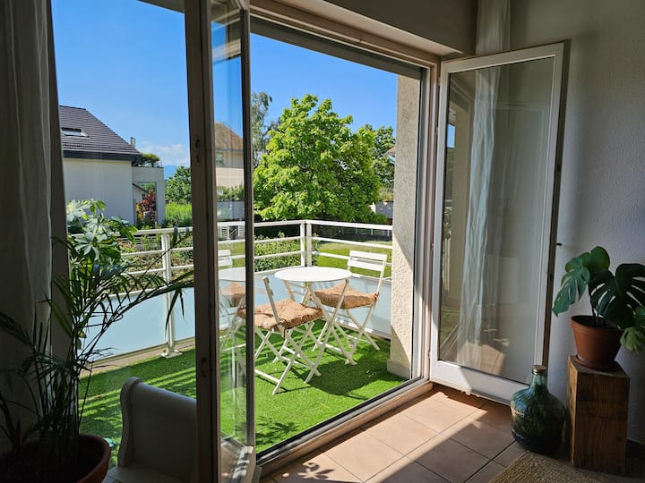 Bel Appartement Franco-suisse - Gex