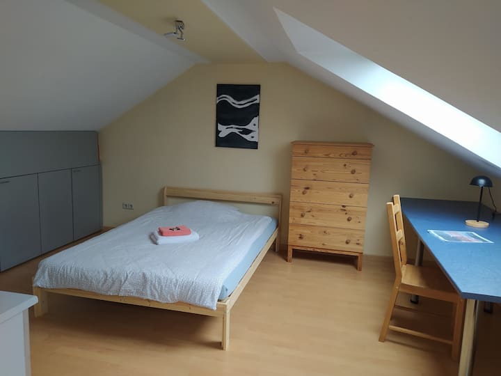 Helles, Geräumiges Zimmer In Zentrumsnähe - Luxembourg City