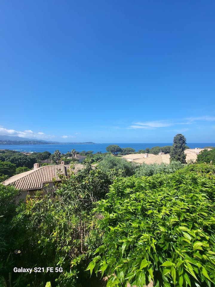 Maison Bord De Mer Vue Mer Avec Piscine - Korsika