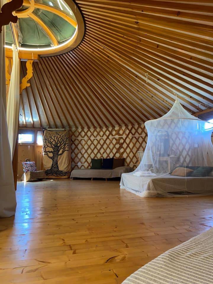 Dormire Sotto Le Stelle Al "Giardino Delle Gemme" - Grosseto