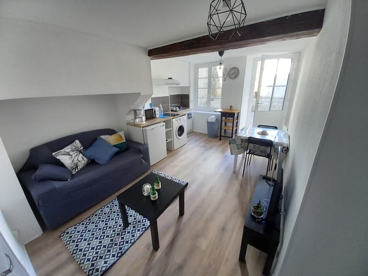 Charmant Appartement Avec Extérieur - Oloron-Sainte-Marie
