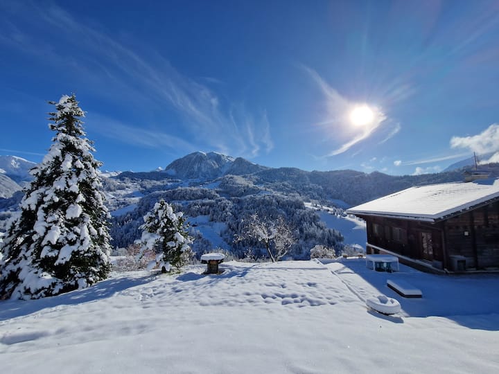 L’esprit Chalet à Manigod, La Vue En Plus - Manigod