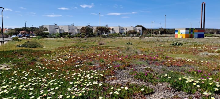 Front De Mer Avec Vue Mer Et Nature - Le Barcarès