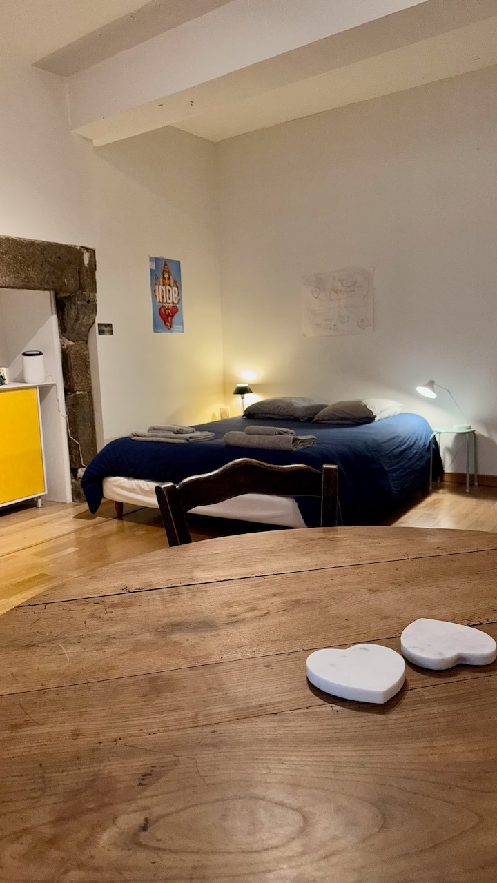 Studio Hyper Centre 30 M2 - Rennes