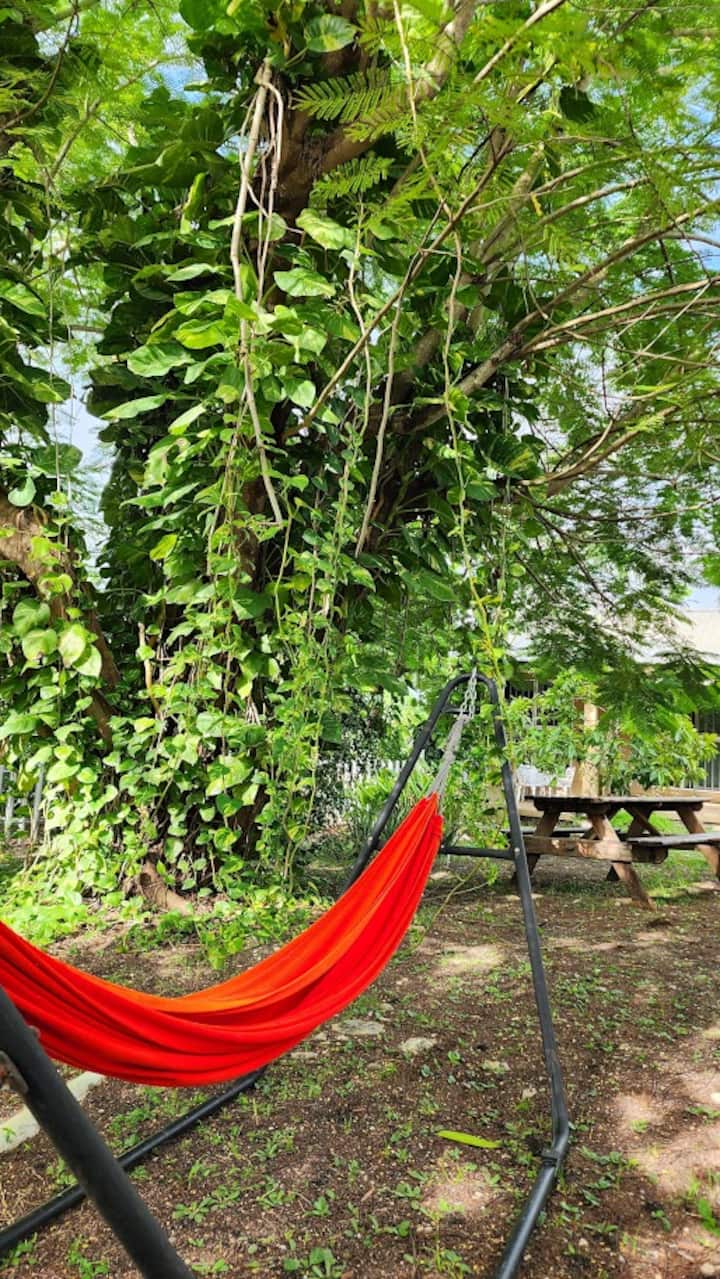 San Ignacio, Belize, The Garden House - Belize