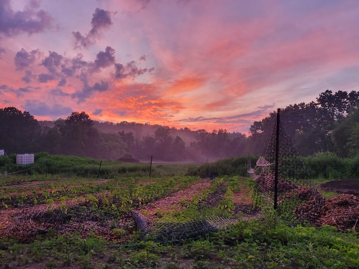 Treeview - Cozy 2 Br Apt ~1 Hr From Nyc Fast Wi-fi - High Point State Park, Sussex