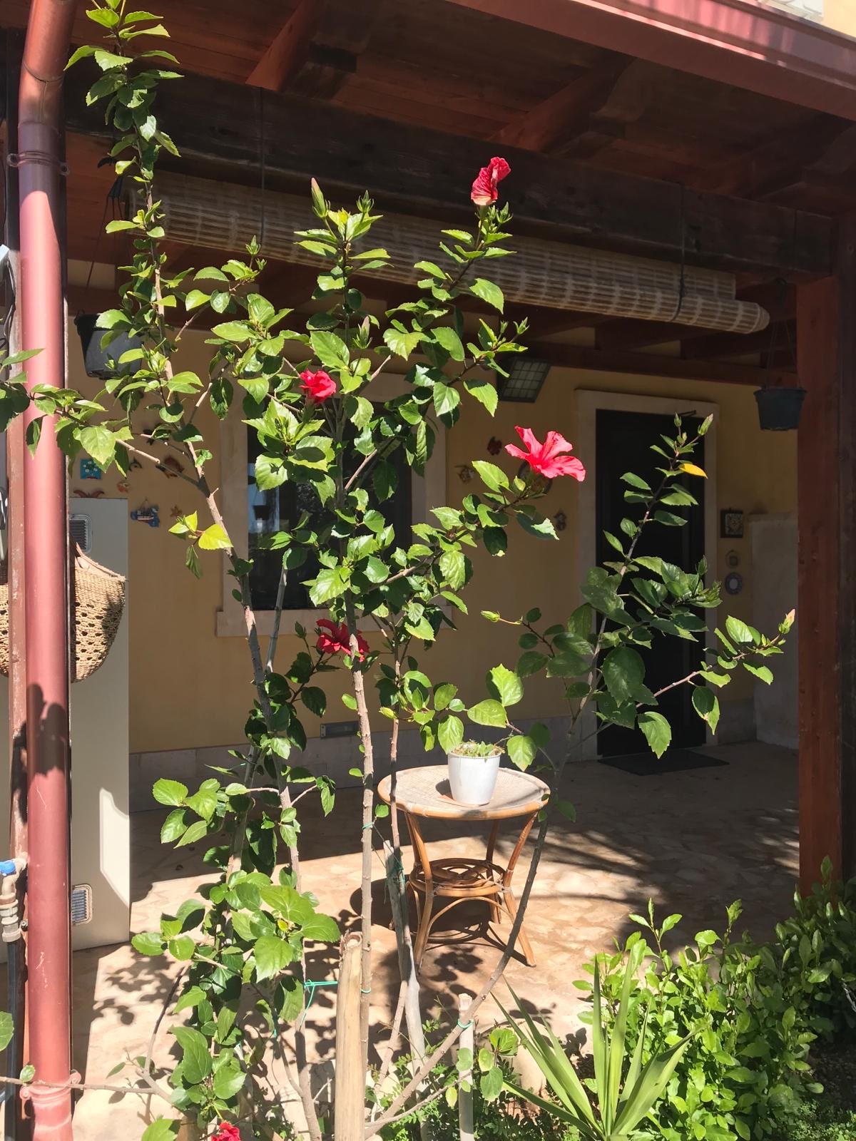 Maison de vacances Donnalucata Marina di Ragusa - Maisons à louer à ...