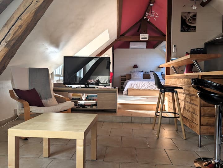 Studio Avec Superbe Vue Loire - Avoine