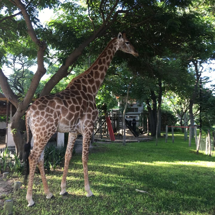 Kruger Park Farmstay Near Orpen Gate - Acornhoek