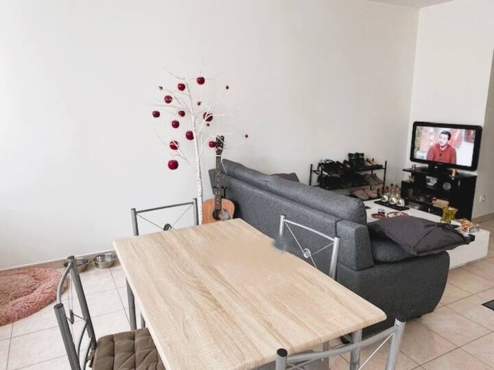 Appartement De La Tranquillité 4 Personnes - Rambervillers