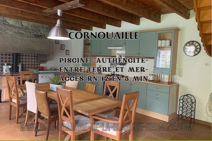 Cornouaille - Grand Espace- Piscine- Rn 12 à 5 Min - Brittany