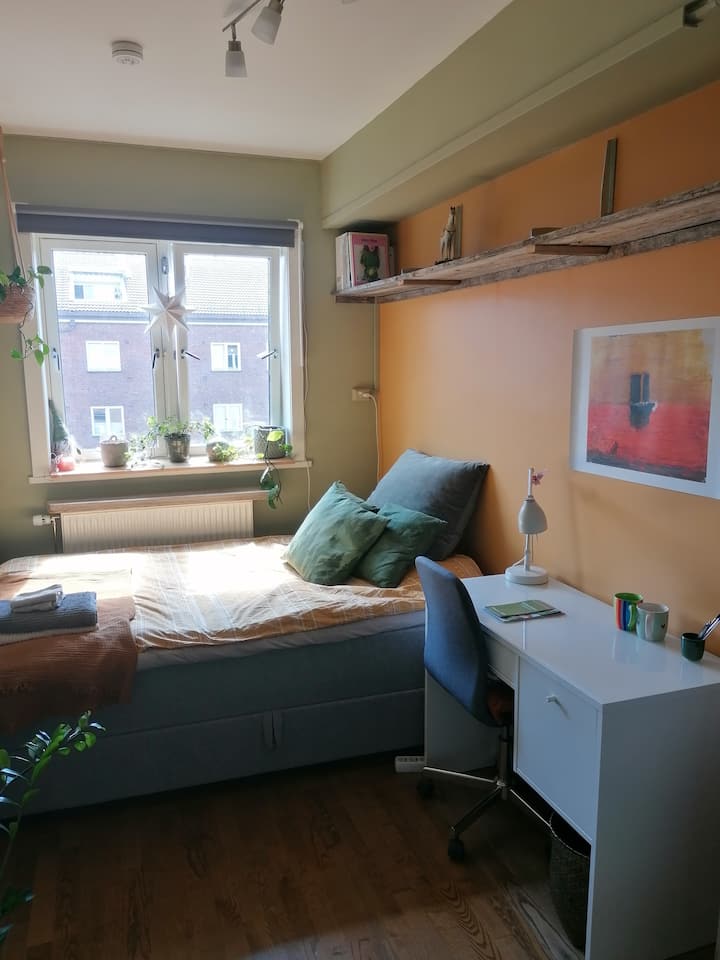 Koselig Soverom På Grünerløkka - Oslo