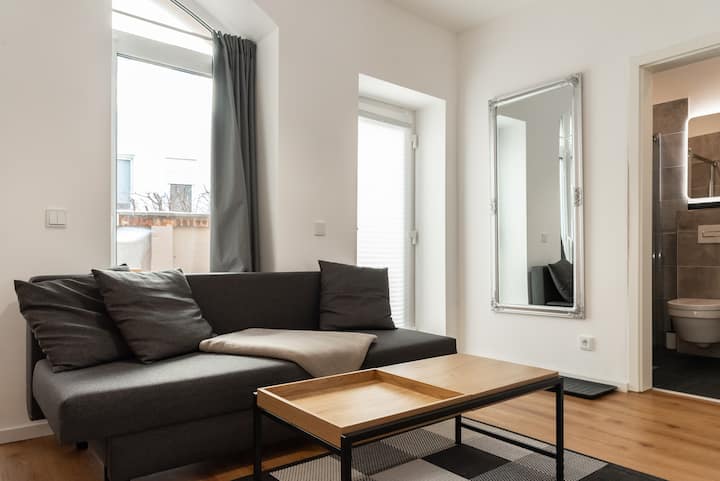 Gewölbewohnung Mit Terrasse - Dresden