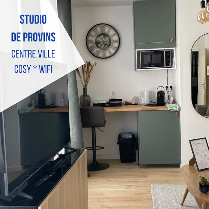 Studio Centre De Provins - Provins