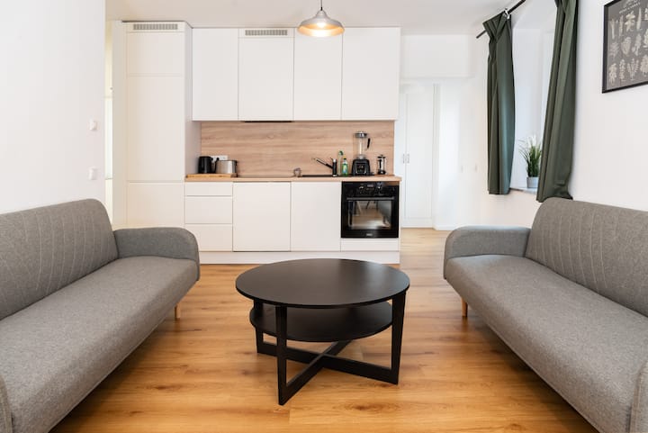 Geräumige Ferienwohnung - Dresden