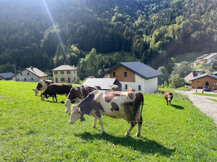 Villa En Bellevaux Avec Sauna Et Jacuzzi - Bellevaux