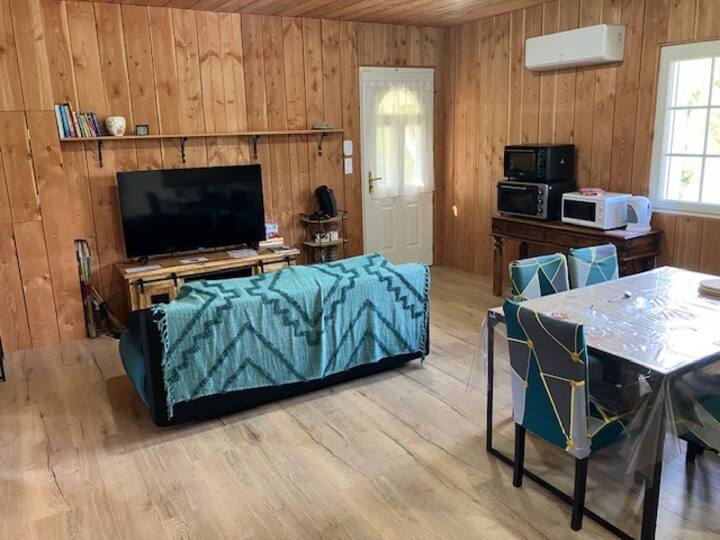 App T4 / 8 Couchages 110 M2 Au 1er Accès Jardin - Sanguinet
