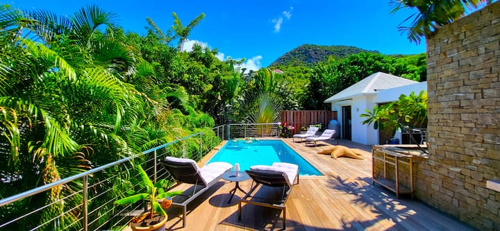 Villa Jelo - 3 Ch - 2.5 Sdb - Piscine & Spa - Saint Barthélemy