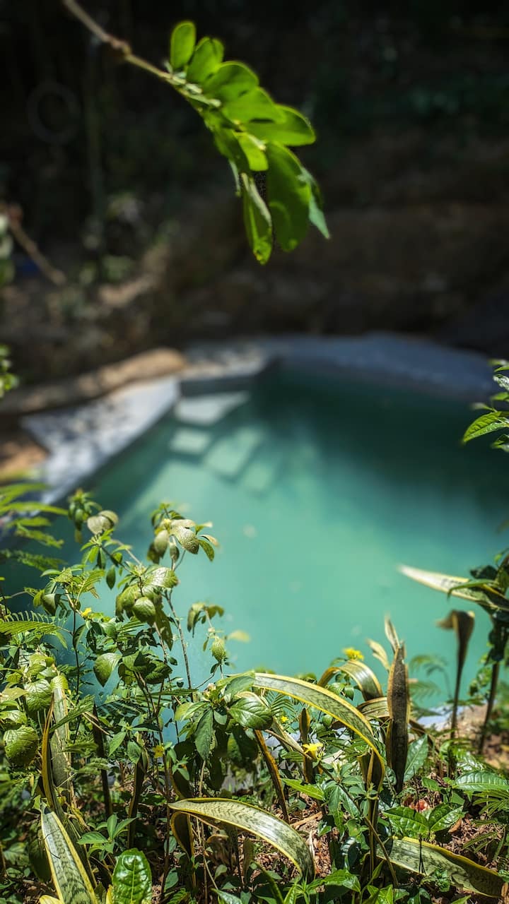 Farmhouse In Vagamon - Vagamon