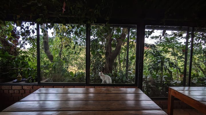 Balcony View - Room 3 At Little Flower Farms - Vagamon