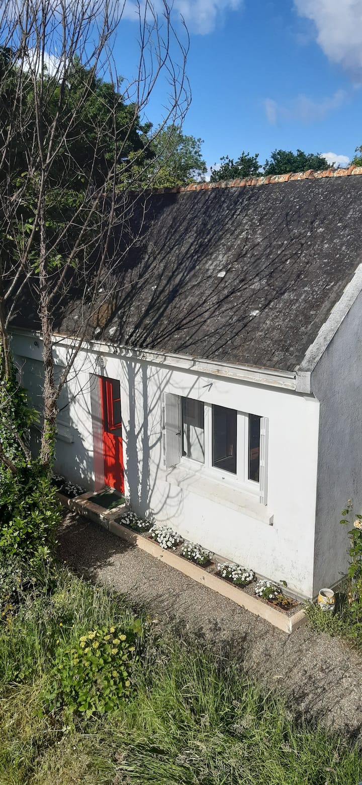 3mm Des Plages Sur La Presqu' îLe Du Cabellou - Finistère