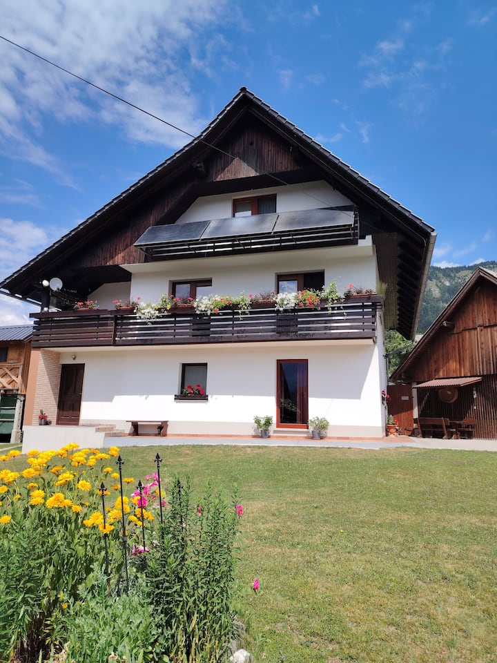 Apartma Pri Bregarju - Bohinjska Bistrica