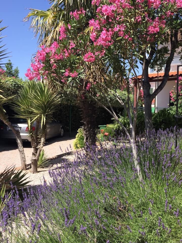 A 4+1 (Lovro) Apartment - Vodice