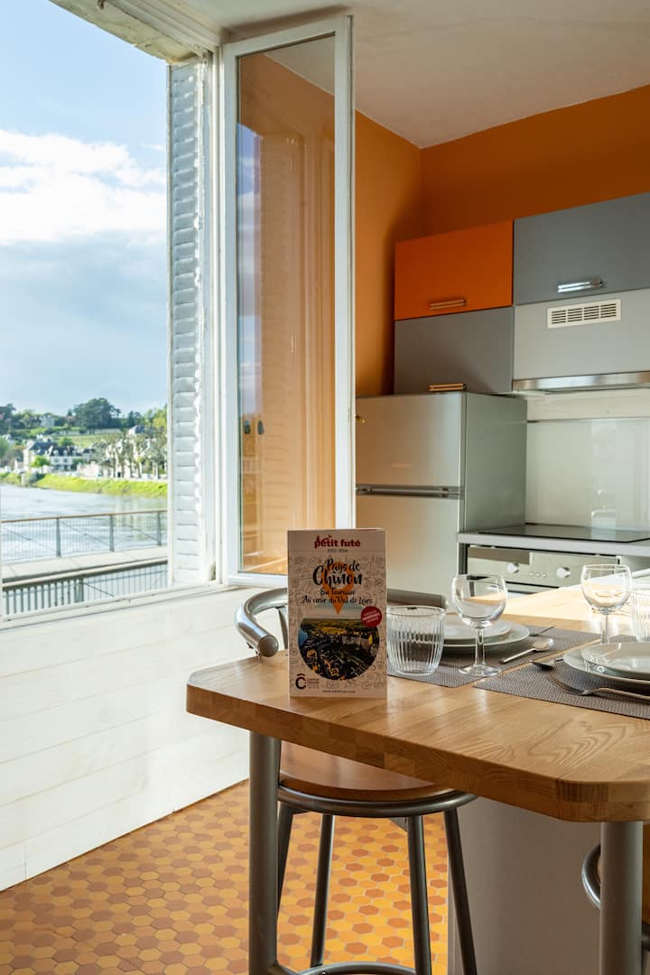 T3 Intime Et Central, Entre Deux Rives De La Ville - ibis Styles Chinon