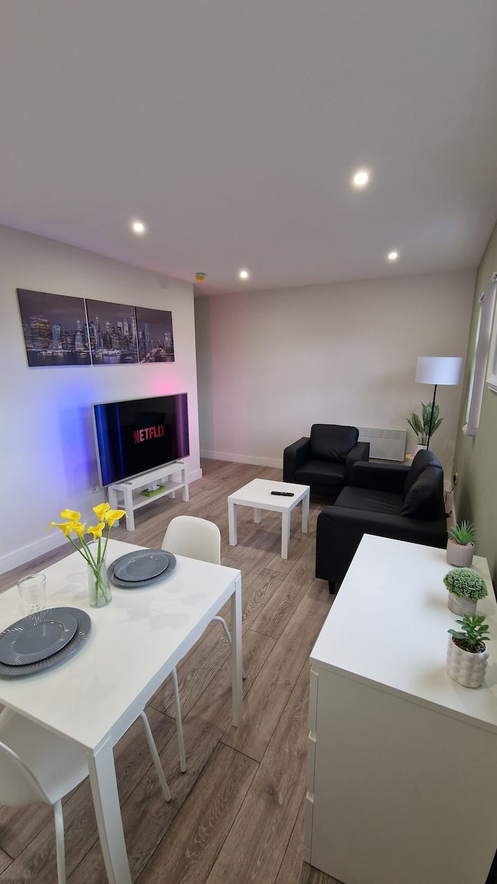 Deluxe Flat - Close To Coventry City Centre & Uhcw - Coventry