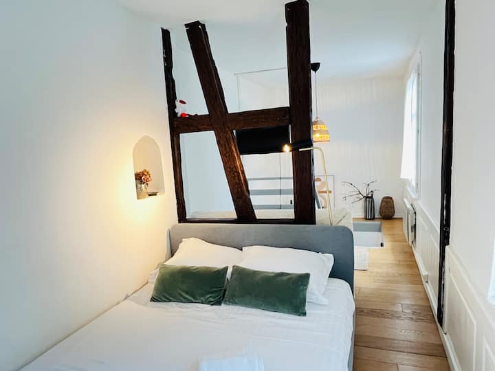 Loft Cosy Aux Portes De La Petite France - Strasbourg