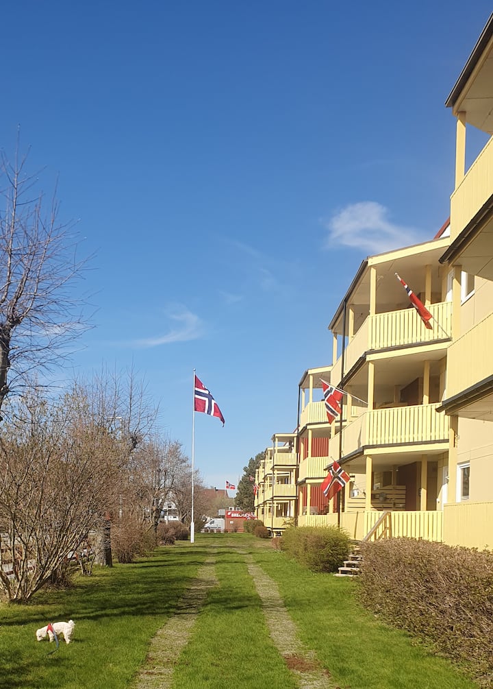 Best Place In Trondheim 1 - Trondheim
