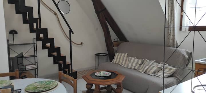 Le Logis Des Arènes : 
Appt/loft "Les Coquelicots" - Le Mans