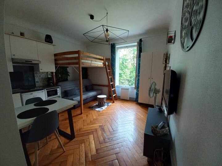 Albion Lodge, Studio En Centre Ville Avec Piscine - Aix-les-Bains
