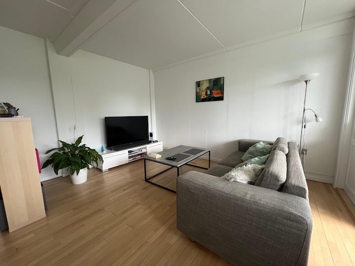 Spacious And Bright Apartment - Aarhus