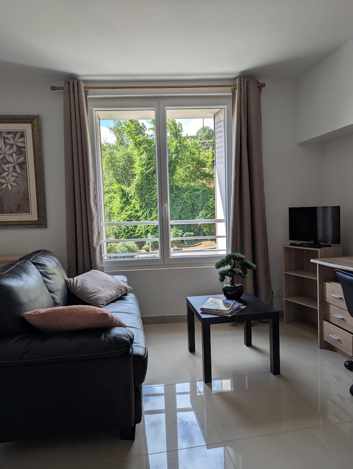 Studio éLégant Et Confortable à Foix - Foix