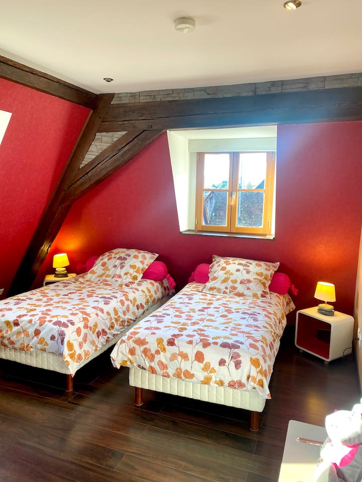 Coeur Historique + Parking Privé |Les Vieux Toits - Bergheim, France