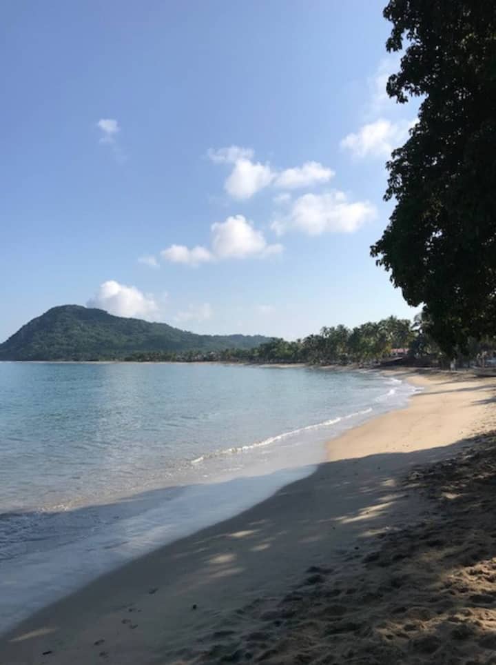 Surf, Sun & Serenity – 1br Oasis - Lo de Marcos
